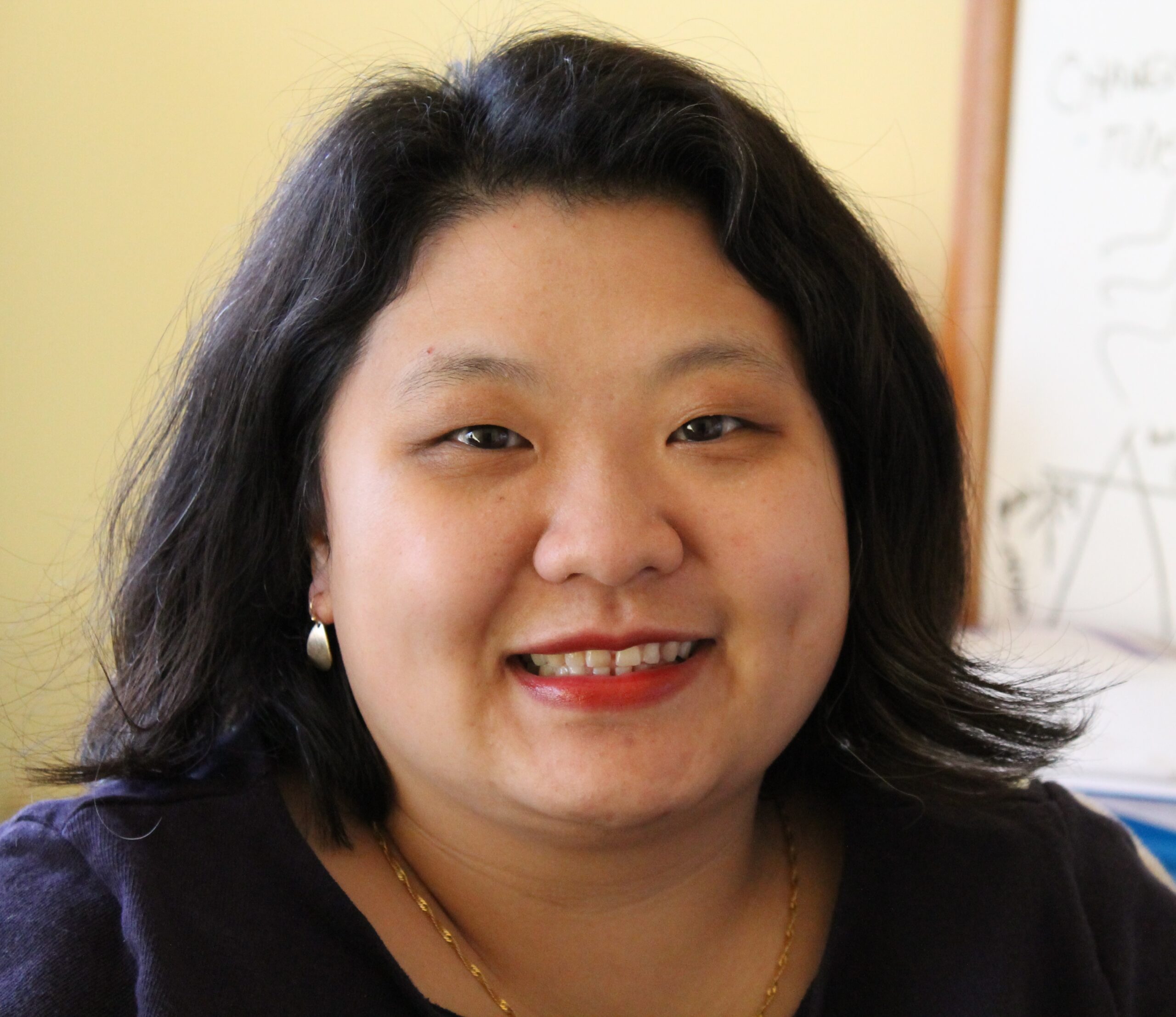 Building a National Network of Regional Leaders: Replicating the Boards ...