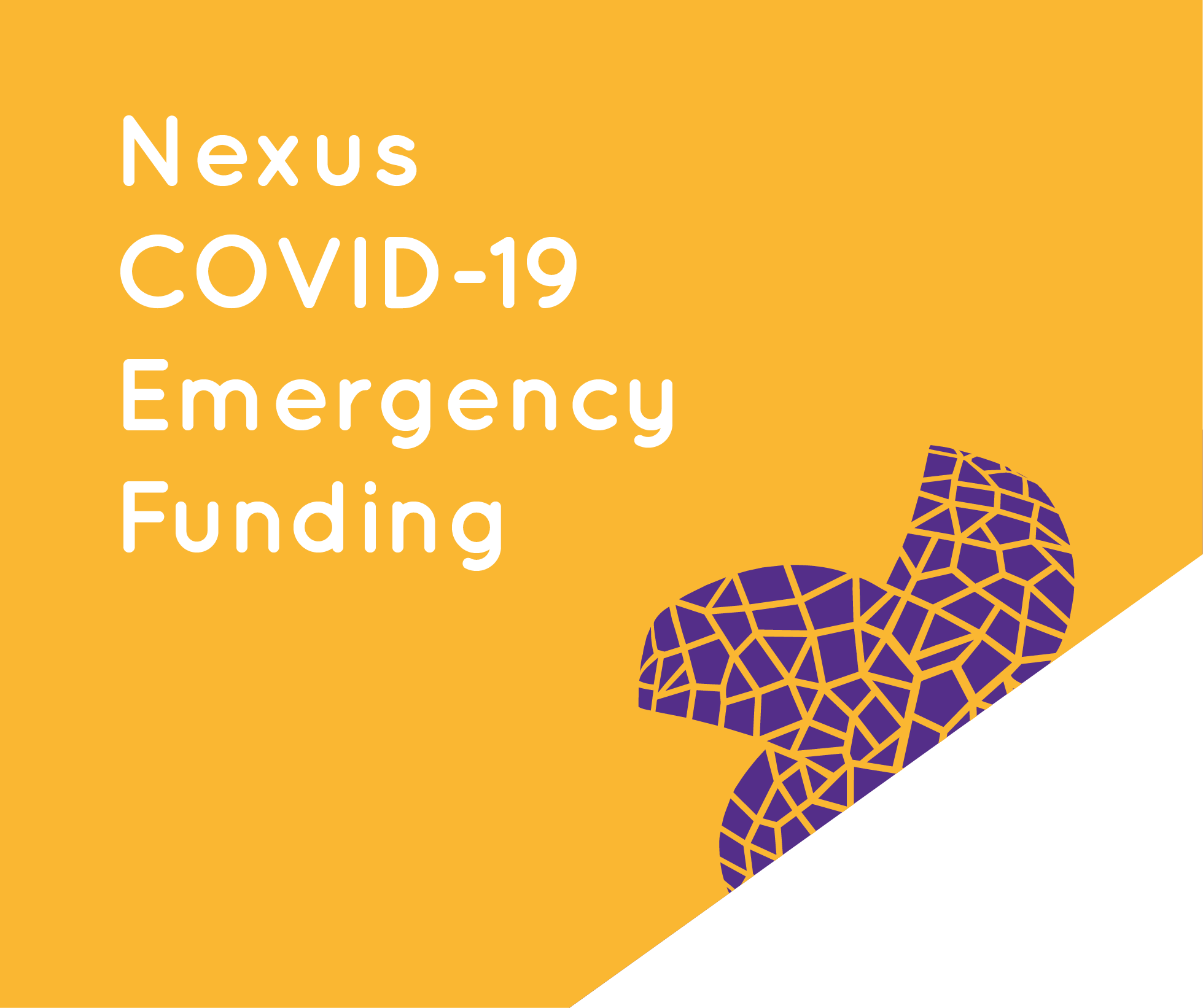 Nexus COVID-19 Emergency Funding - Nexus Community Partners
