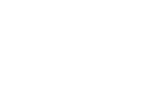 Nexus Alumni Share Their BCLI Journeys - Nexus Community Partners